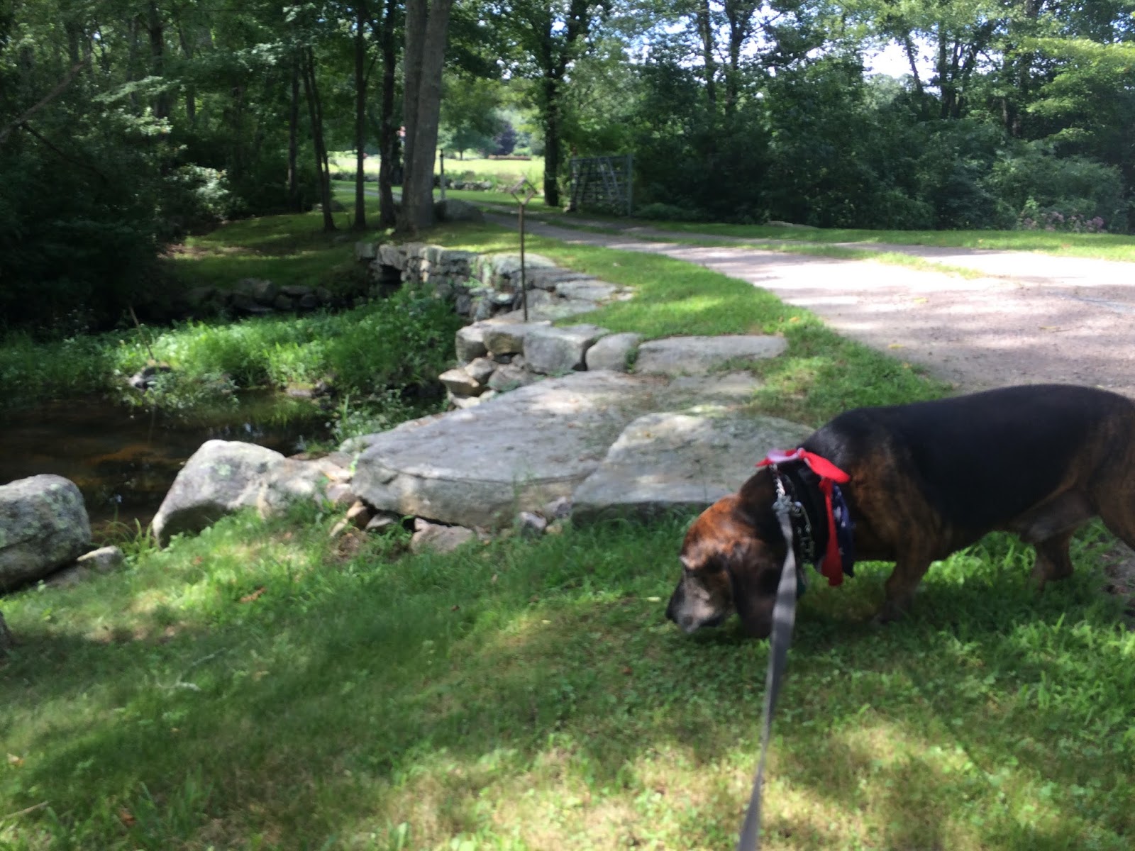 Benjamin Church: First American Ranger: Stonington, CT, April 1676 ...