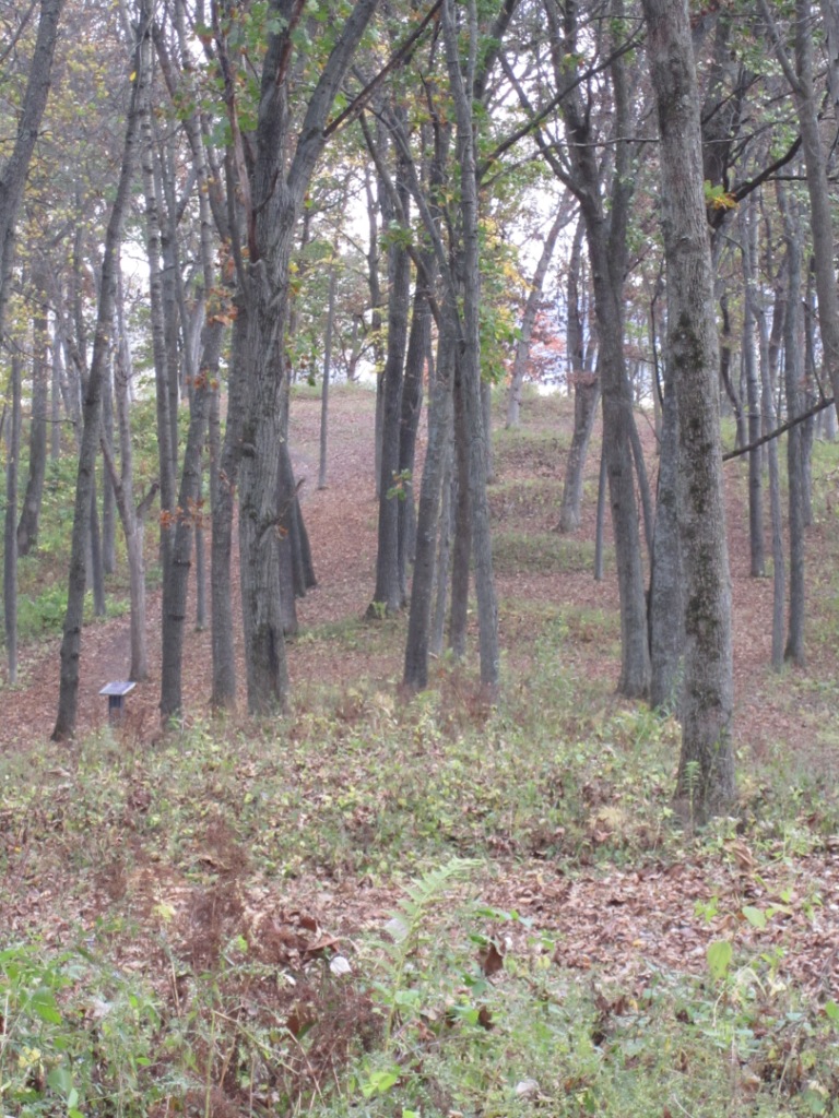 portengaround: Effigy Mounds National Monument