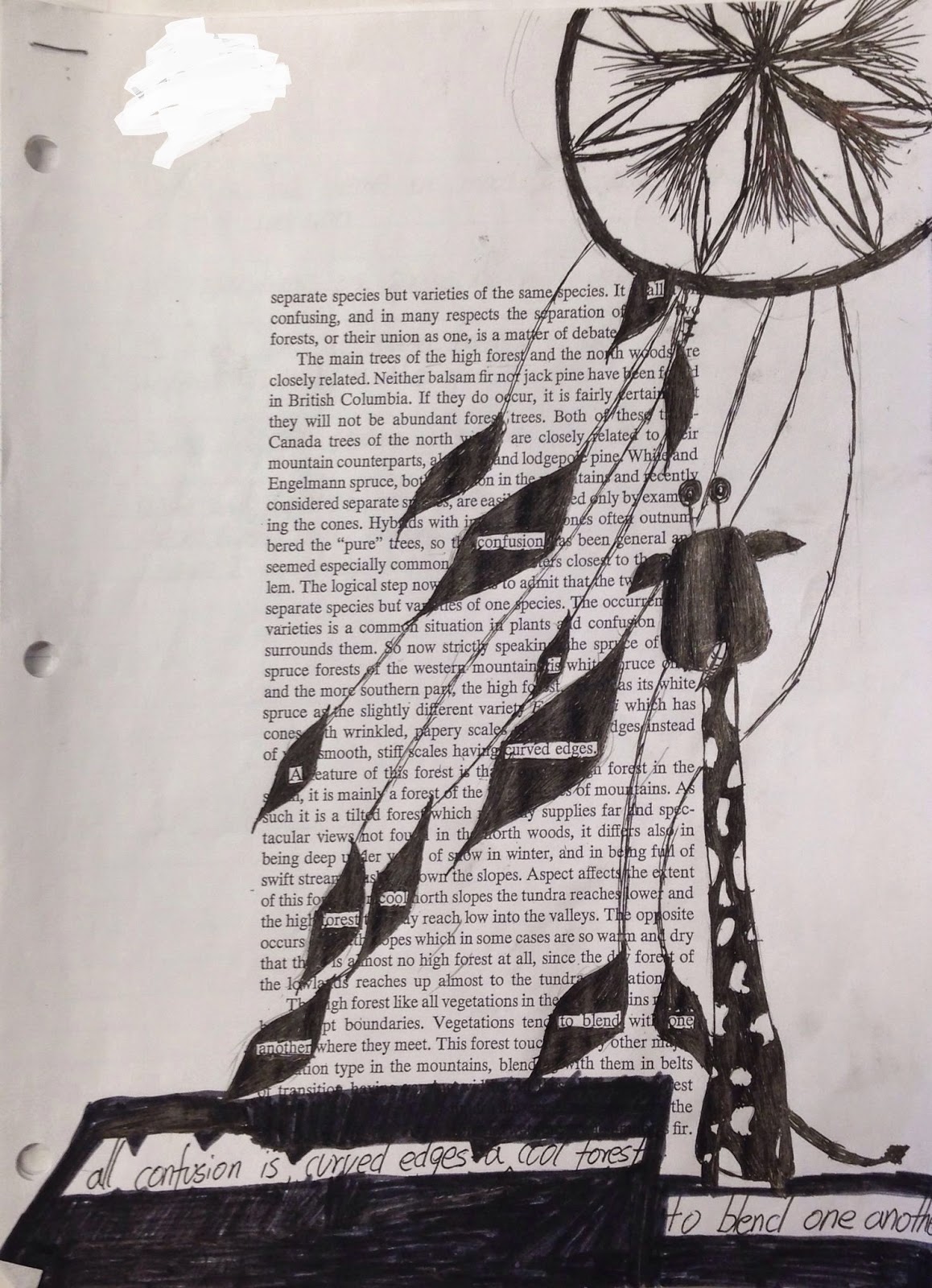 One Teacher's Adventures: Found Poems