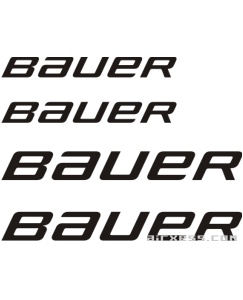 History of All Logos: All Bauer Logo