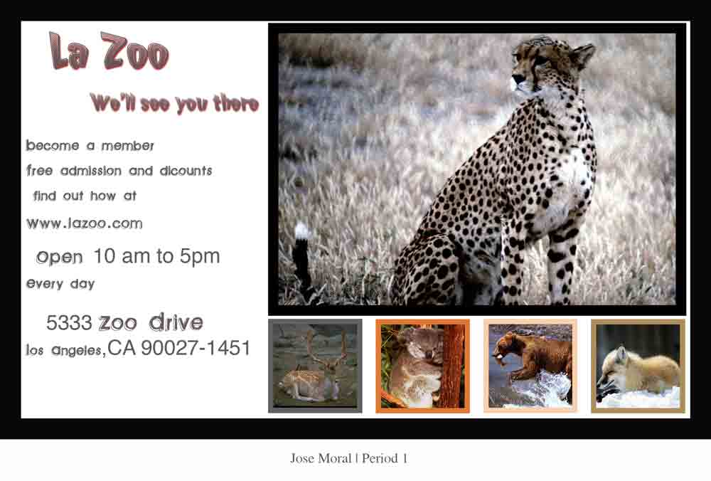 Jose Moral: Zoo Postcard