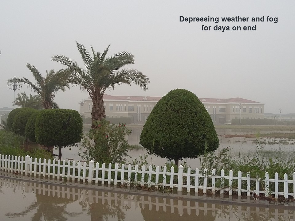 Go with Henry: Living on an oilfield base camp