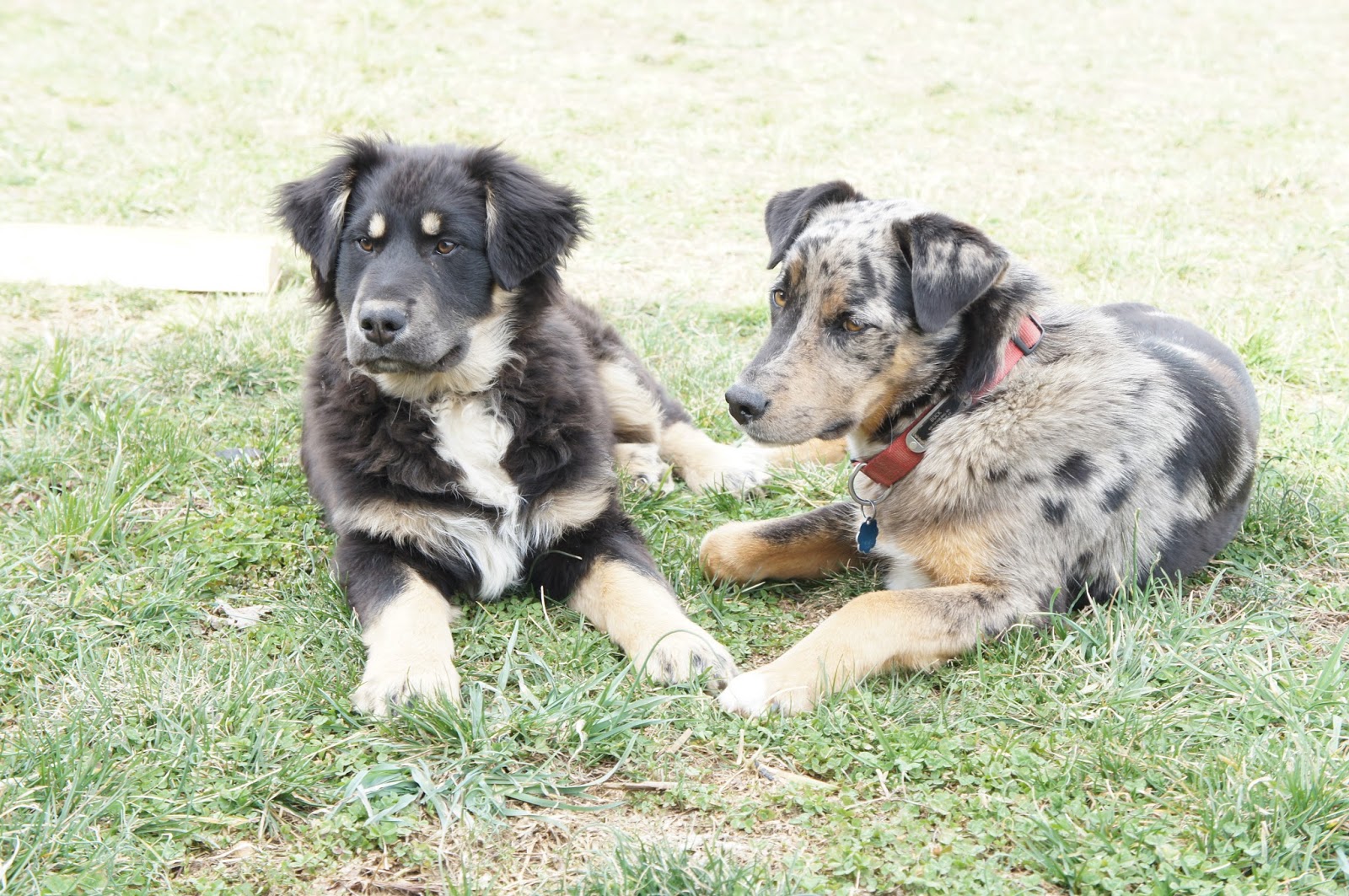 The Price of Teaching: About Me