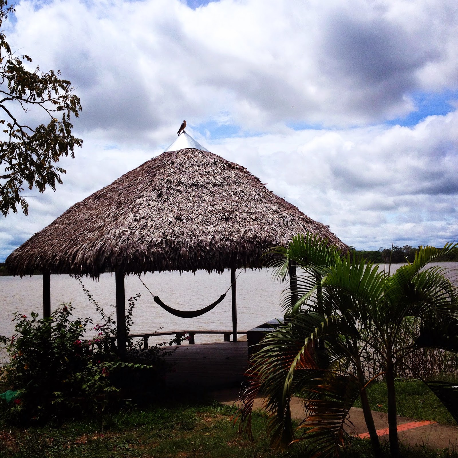 The Travels of a Wee Lass