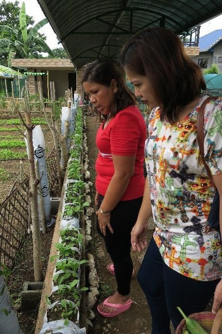 Philippine Farm Tours in Tagaytay & Bulacan - Philippine Flight Network