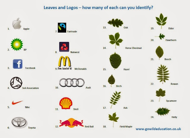 Woodland Bird - Jackie Roby: Leaves and Logos Identification Quiz
