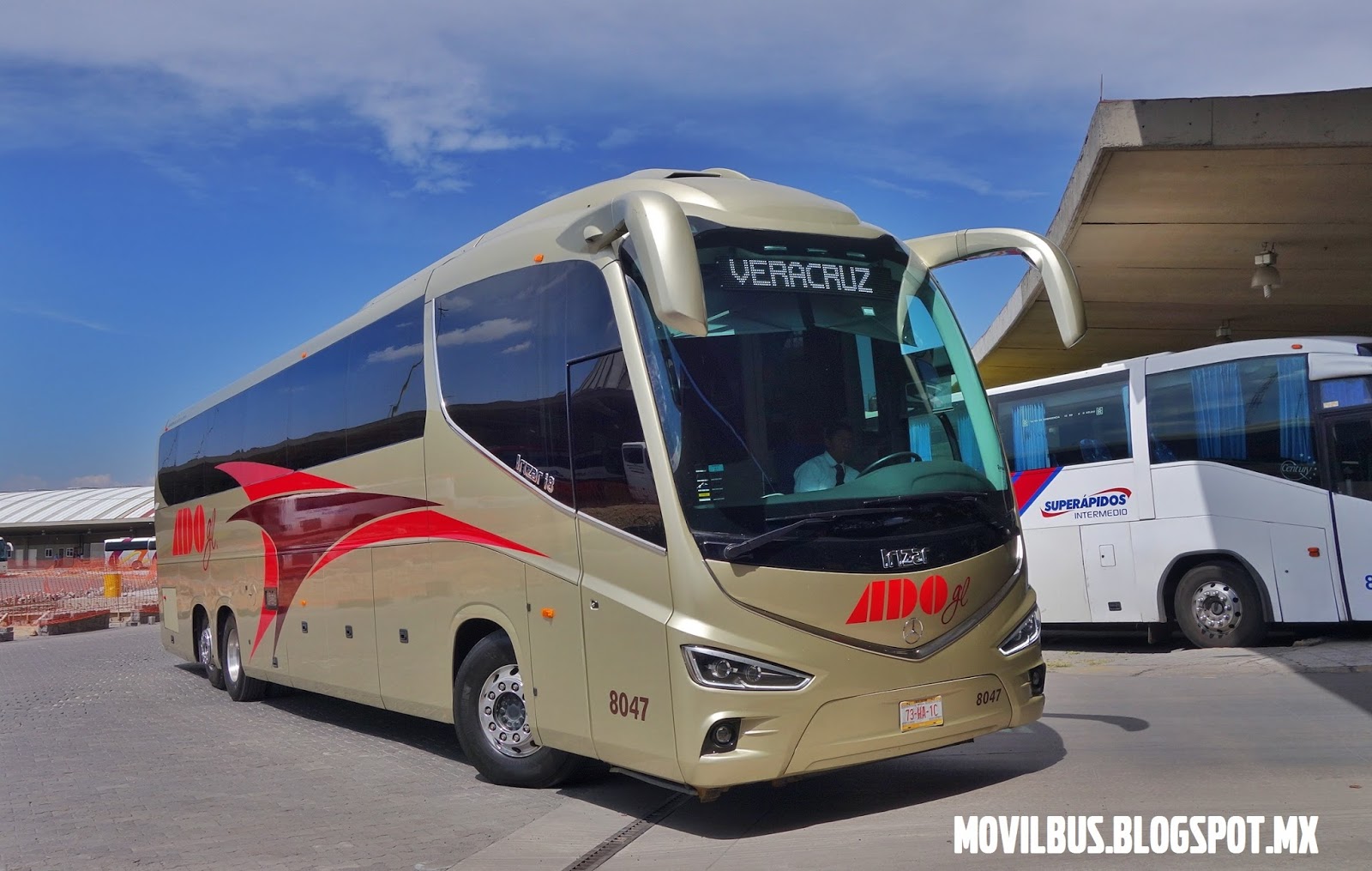 MOVILBUS: El Irizar i8 es el favorito de las lineas de autobuses.