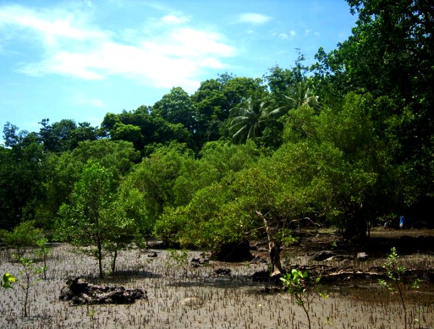mybeautifulILOILO: Promoting Tourism in Ajuy through Community-Based ...