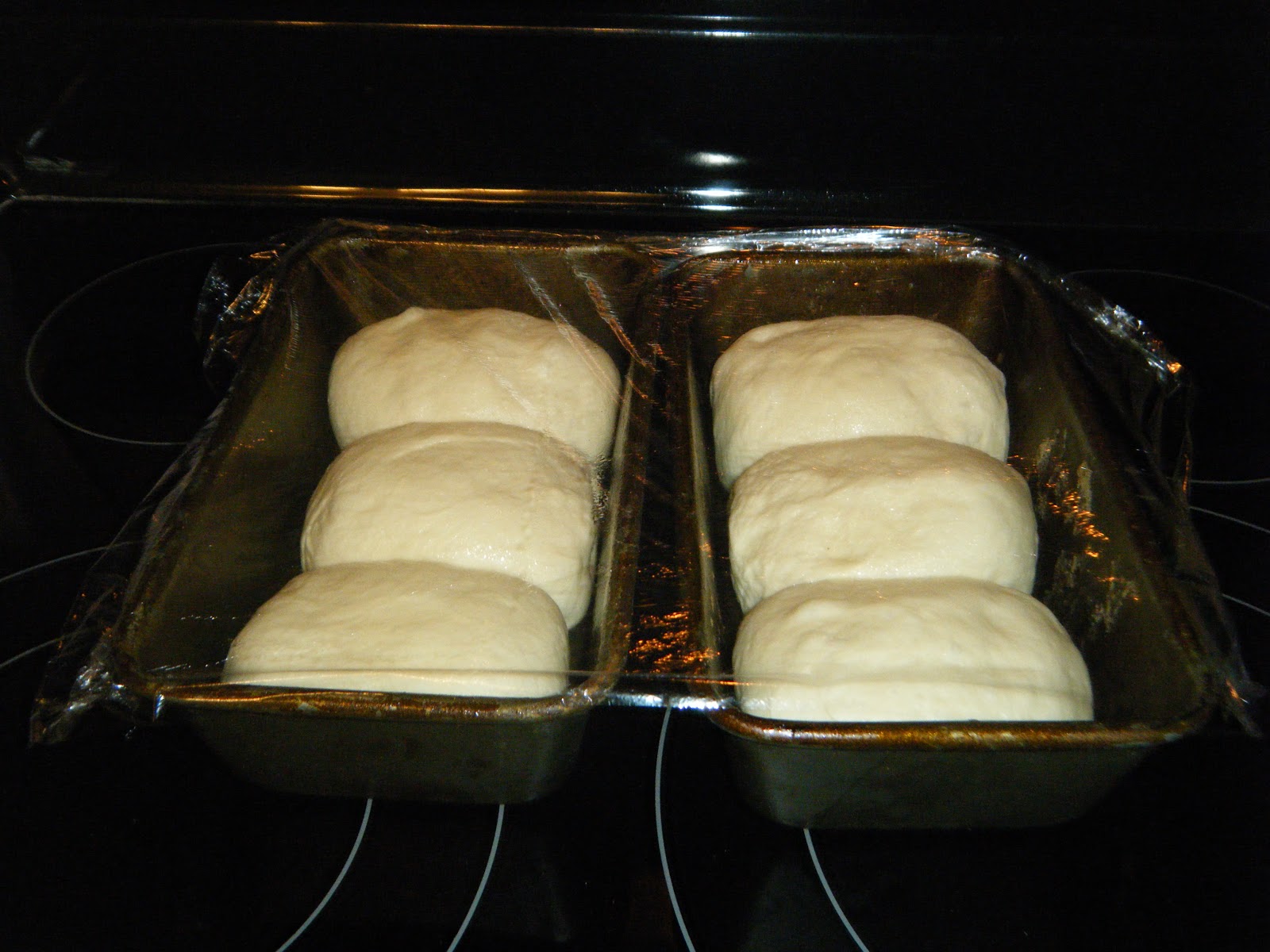 The Weirdough's Bake Shop: White Bread; Learning What Dough Is Doing