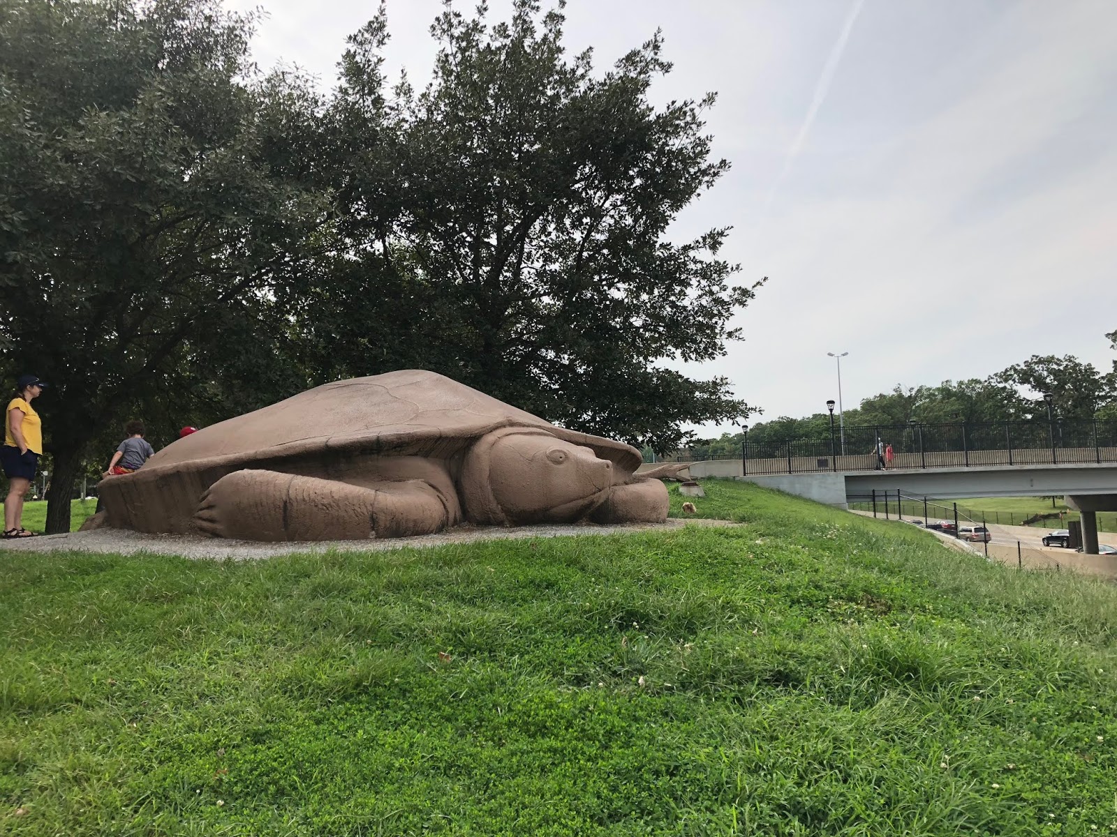 Turtle Playground, St. Louis