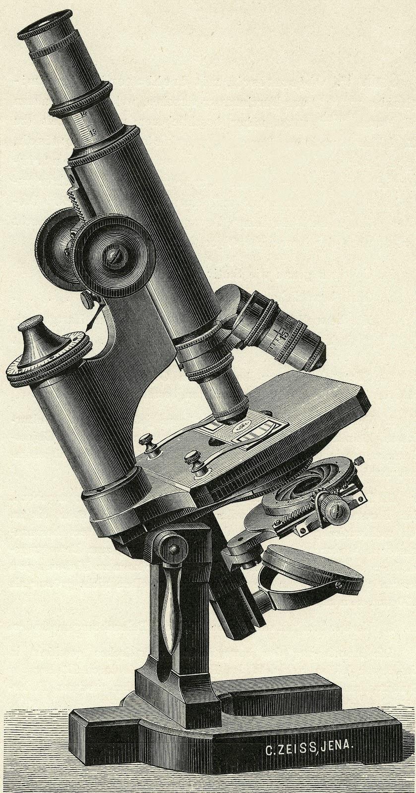 Martín Monteiro @fisicamartin: 200 años de Carl Zeiss, leyenda de la óptica