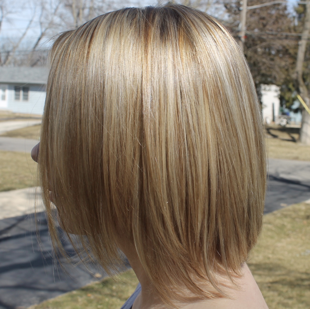 Hairstylist How to Salon Services hairstylist-how-to-salon-services