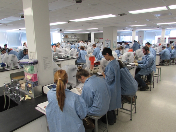 BIOSEGURIDAD Y BIOCUSTODIA: A biosafety level 2 virology lab for ...