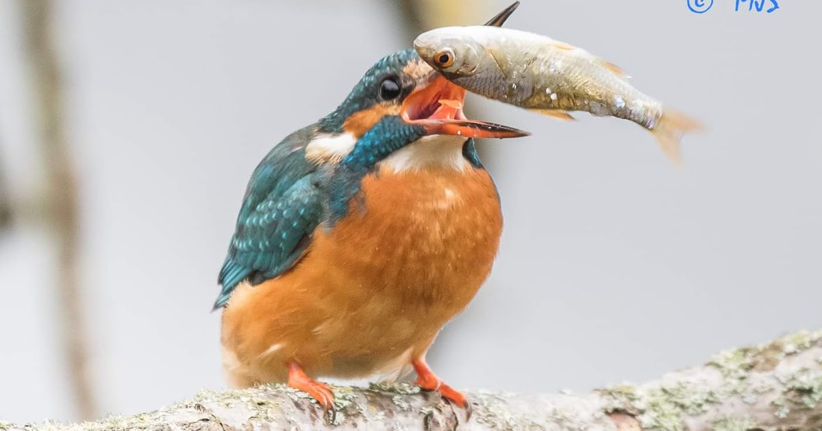 ITS BRAAP ~ ITS LIFE!!