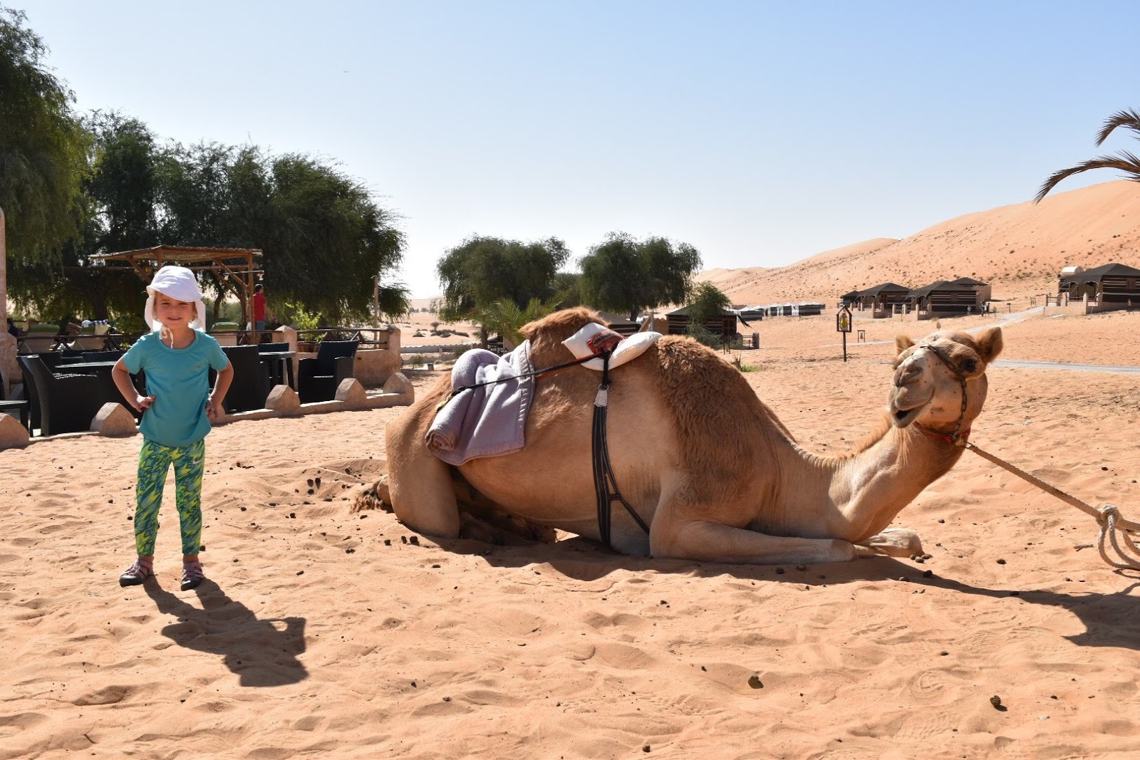 Chaos and Cardboard: 2 Weeks in Oman (Oman with Kids)