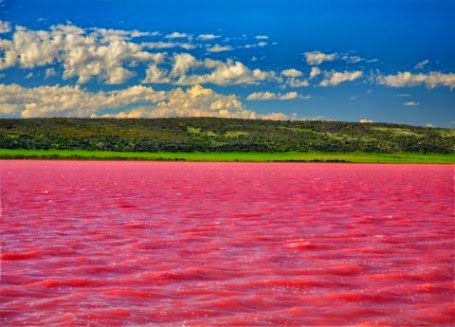 Mundo Animal y Lugares Exóticos: Lago Hillier
