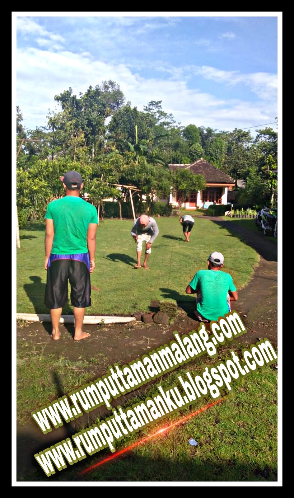 Harga jual rumput manila zoysia matrella di Jakarta April Tahun 2023 ...