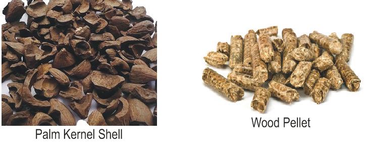 Inovasi Biomasa : Wood Pellet Vs Palm Kernel Shell Di Pasar Lokal Dan ...
