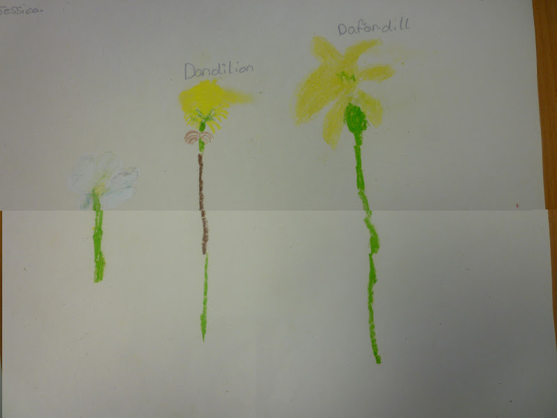 Fieldhead Carr University for children: Artists Unite Observational ...