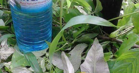 PULLING/LABIA ELONGATION. KUSIKA ENFULI