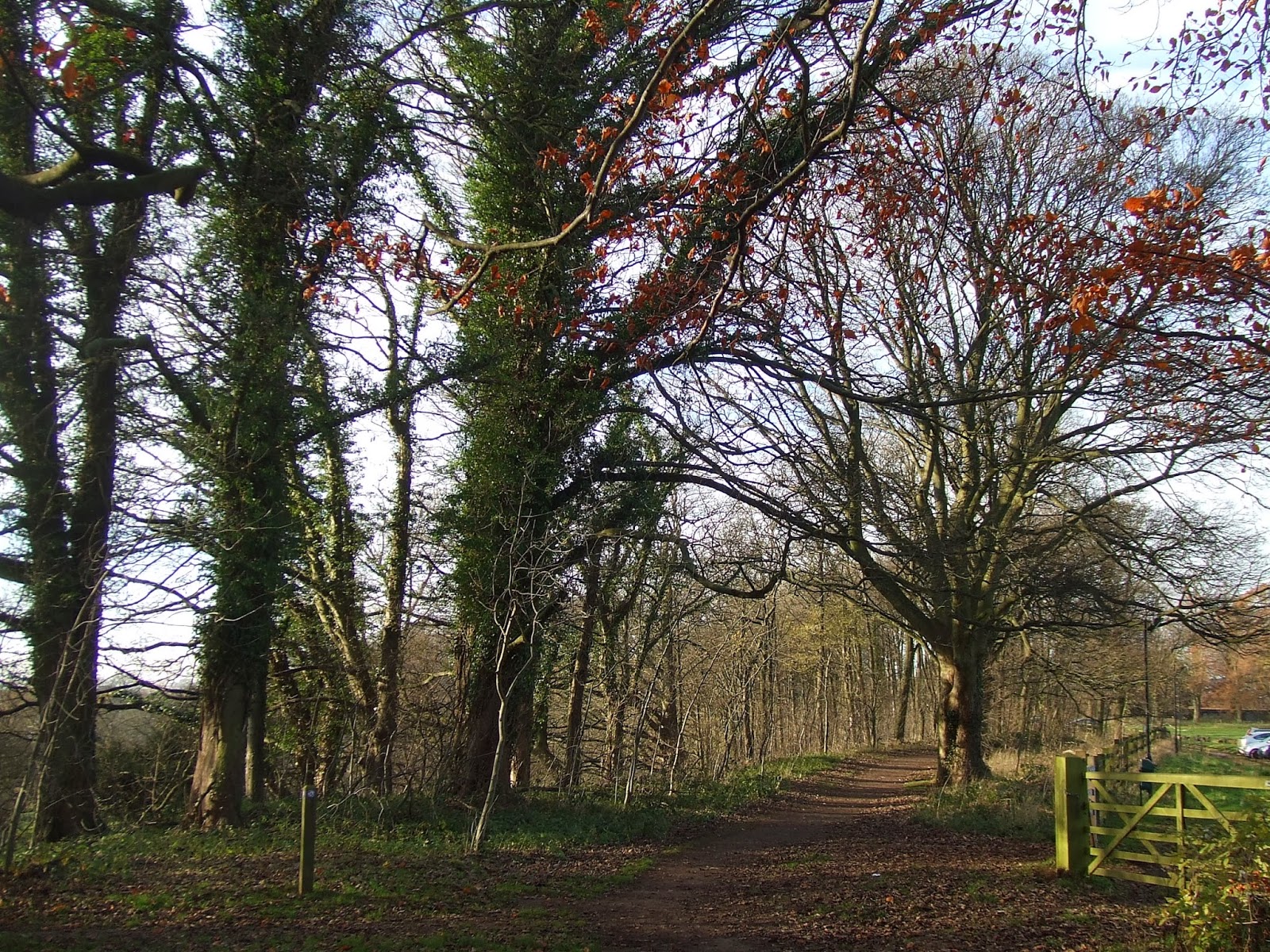 Wandering Ash: November 2013