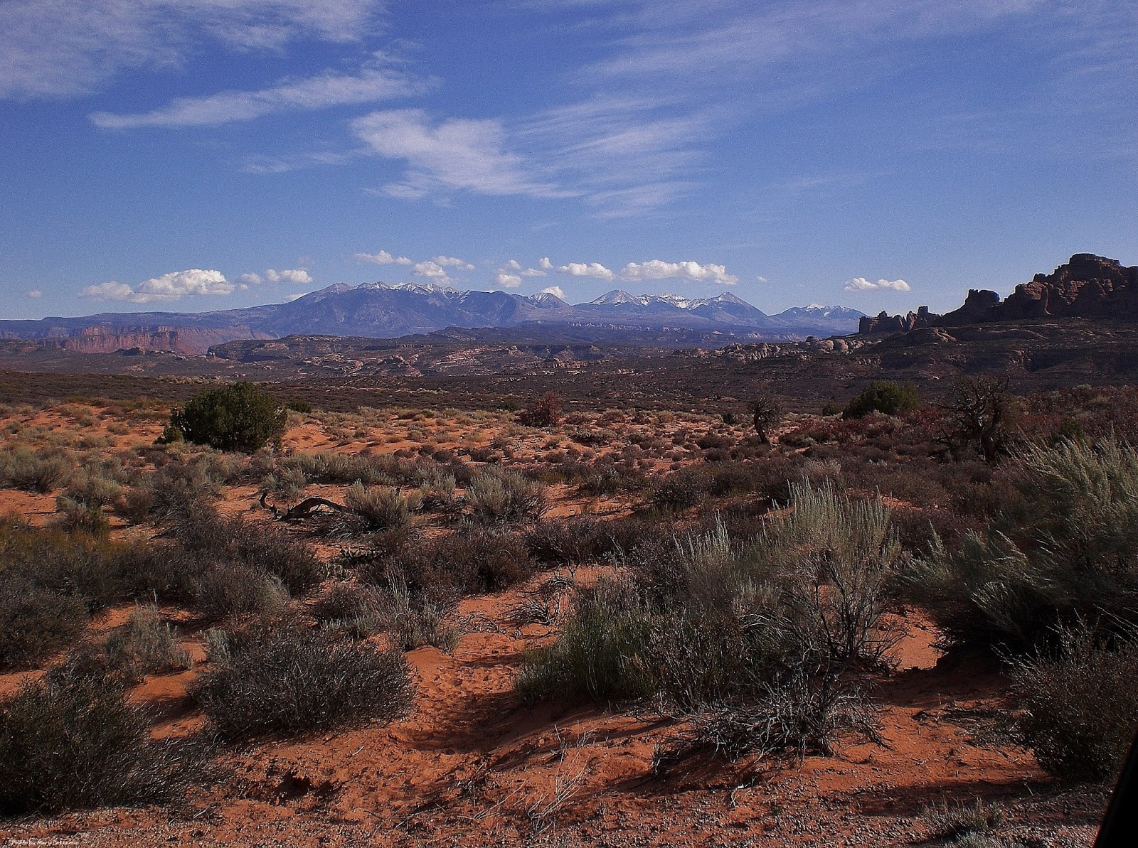 The Southwest Through Wide Brown Eyes: Salt, Fire, Penguins, Odds and ...
