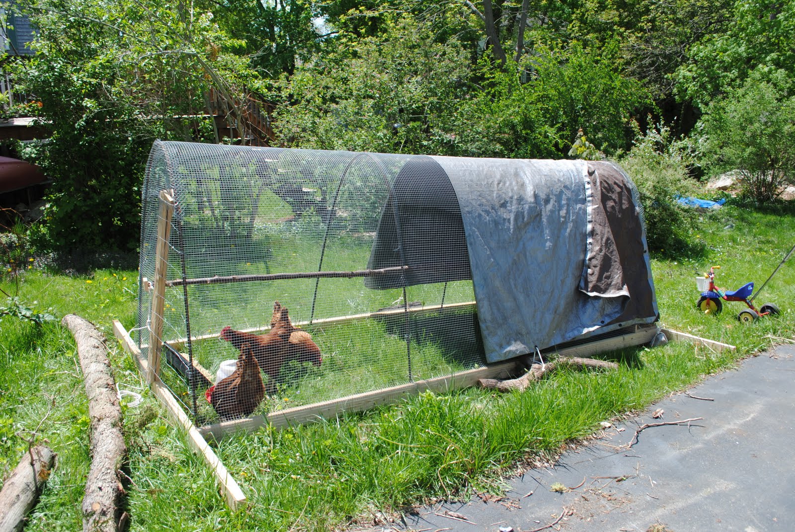 Creative Homesteading: Chicken Coops