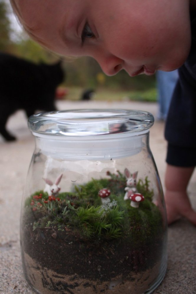 Juise: Make a Terrarium
