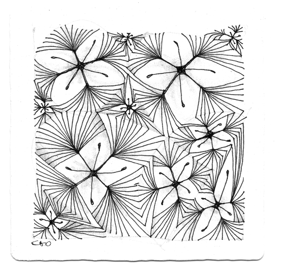 Open Seed Arts: Tuftid