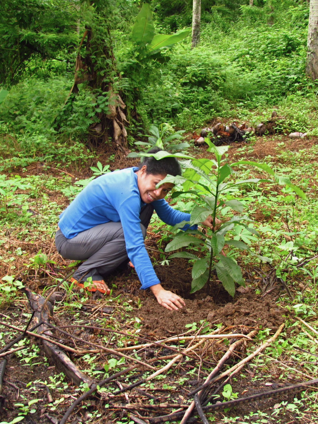 1784: Saturday Tree Planting