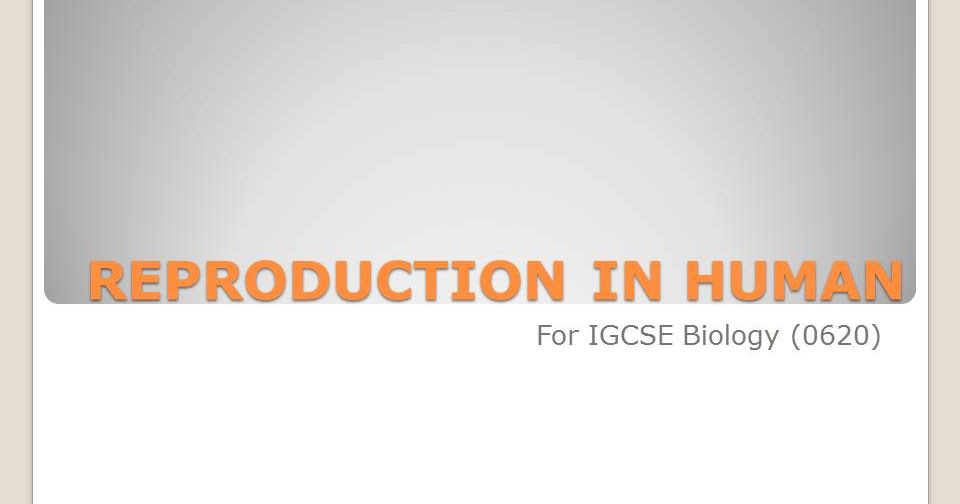 Education Made Fun: IGCSE Biology: Reproduction in Human