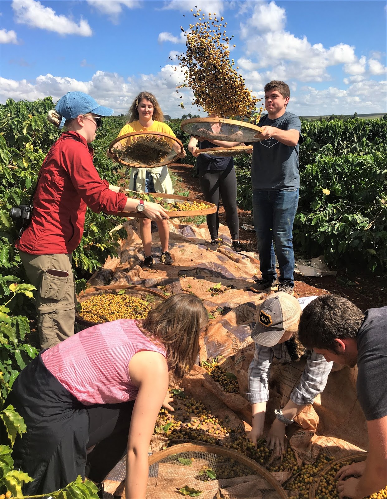 CAST: Small Farms in Brazil: Differences, Diversification, and Techniques