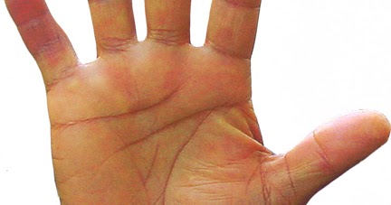 Science behind Palmistry