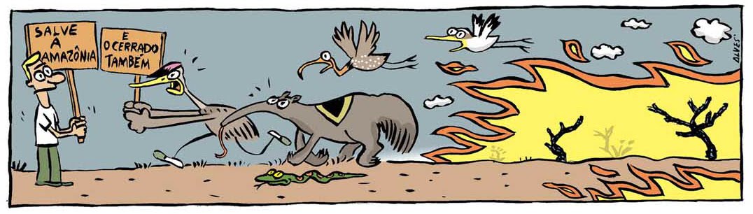 Geo - Conceição : CERRADO BRASILEIRO