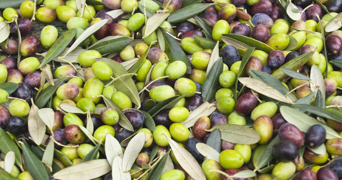 Olives