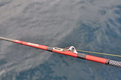 Daiwa Interline Fishing Rods