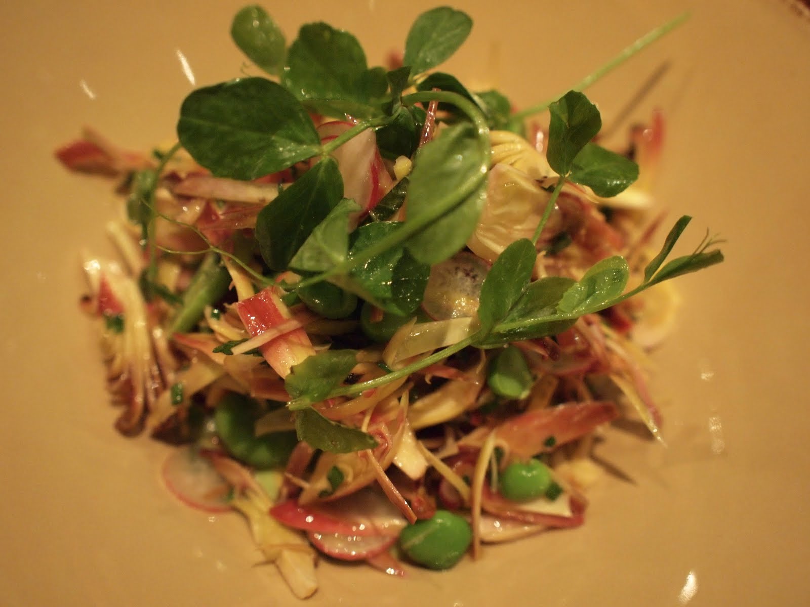 This is Gonna Be Good: Fiola, DC