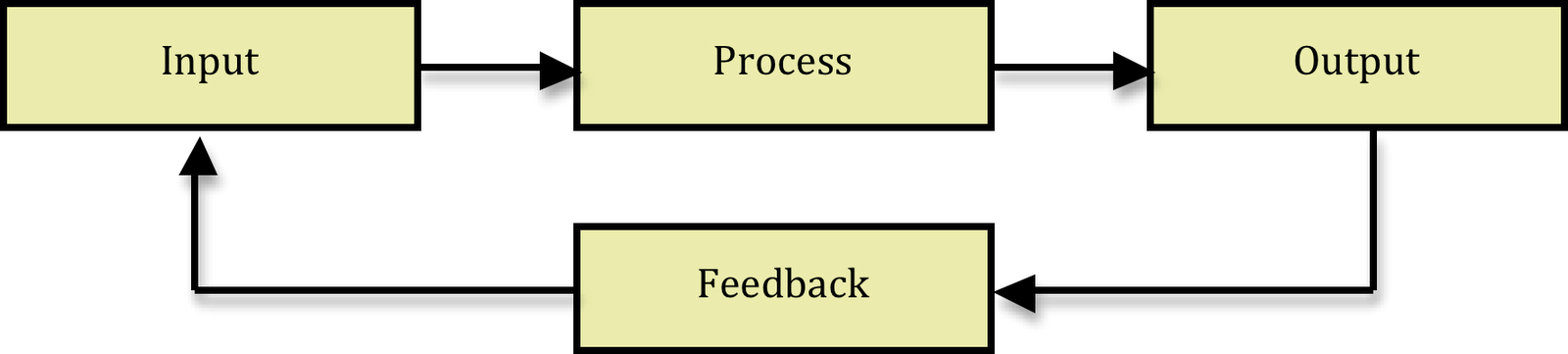 Soft Skills Facilitation