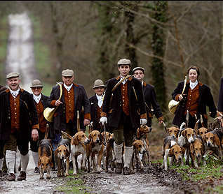 Admiral Cod: la vénerie française
