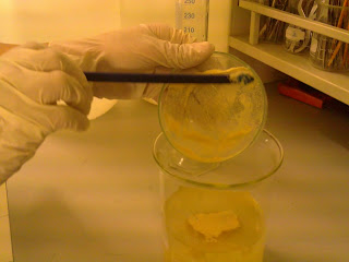 world of science: Nutrient Agar Preparation