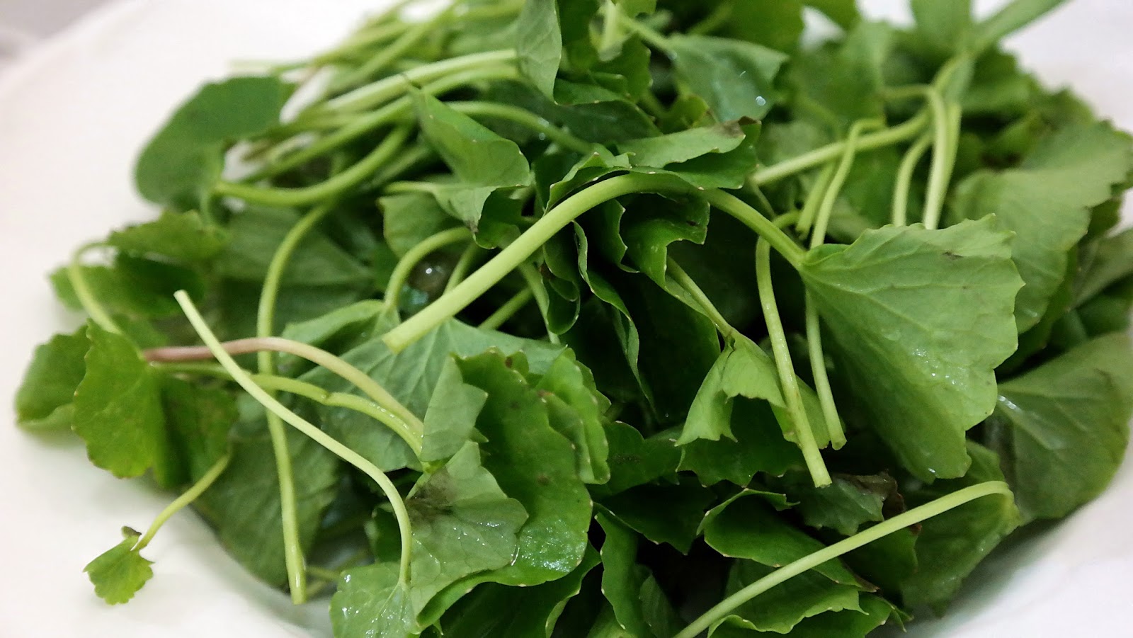 Ibu Sham: Ulam pegaga.. a little bit of heaven..