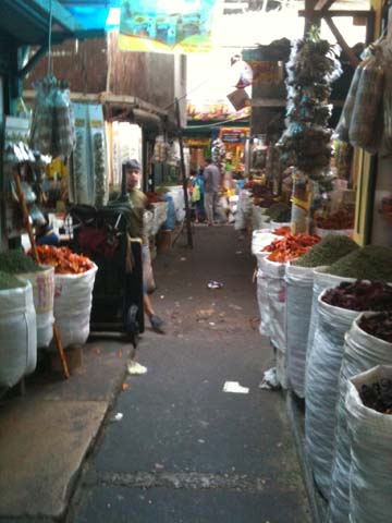 The Lima Peru LDS Temple Mission: The "Real' Peru and Extracto de Rana