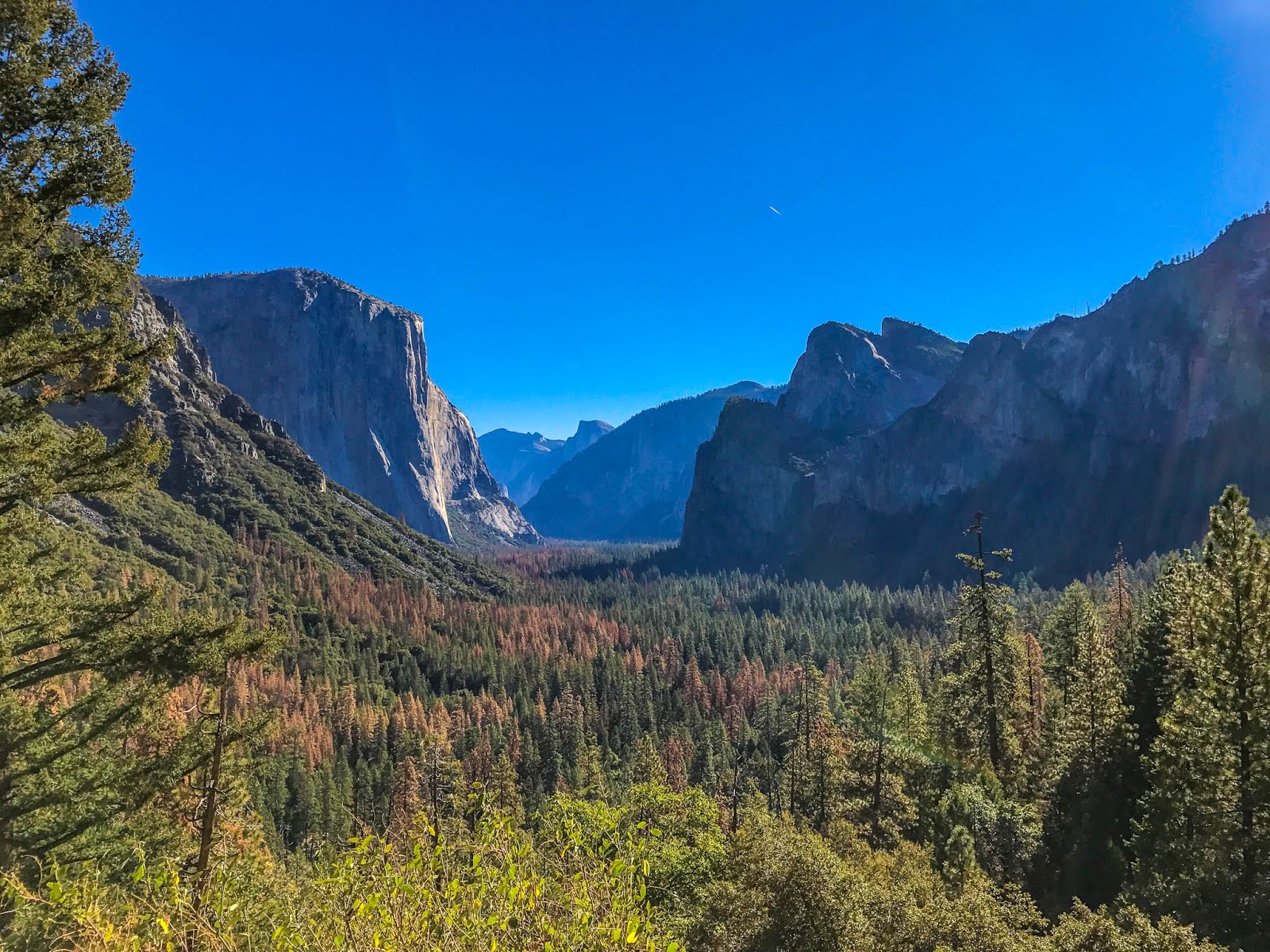 Kaweah Group Climbs Mount Clark In Yosemite WTC Experience Trip - First ...