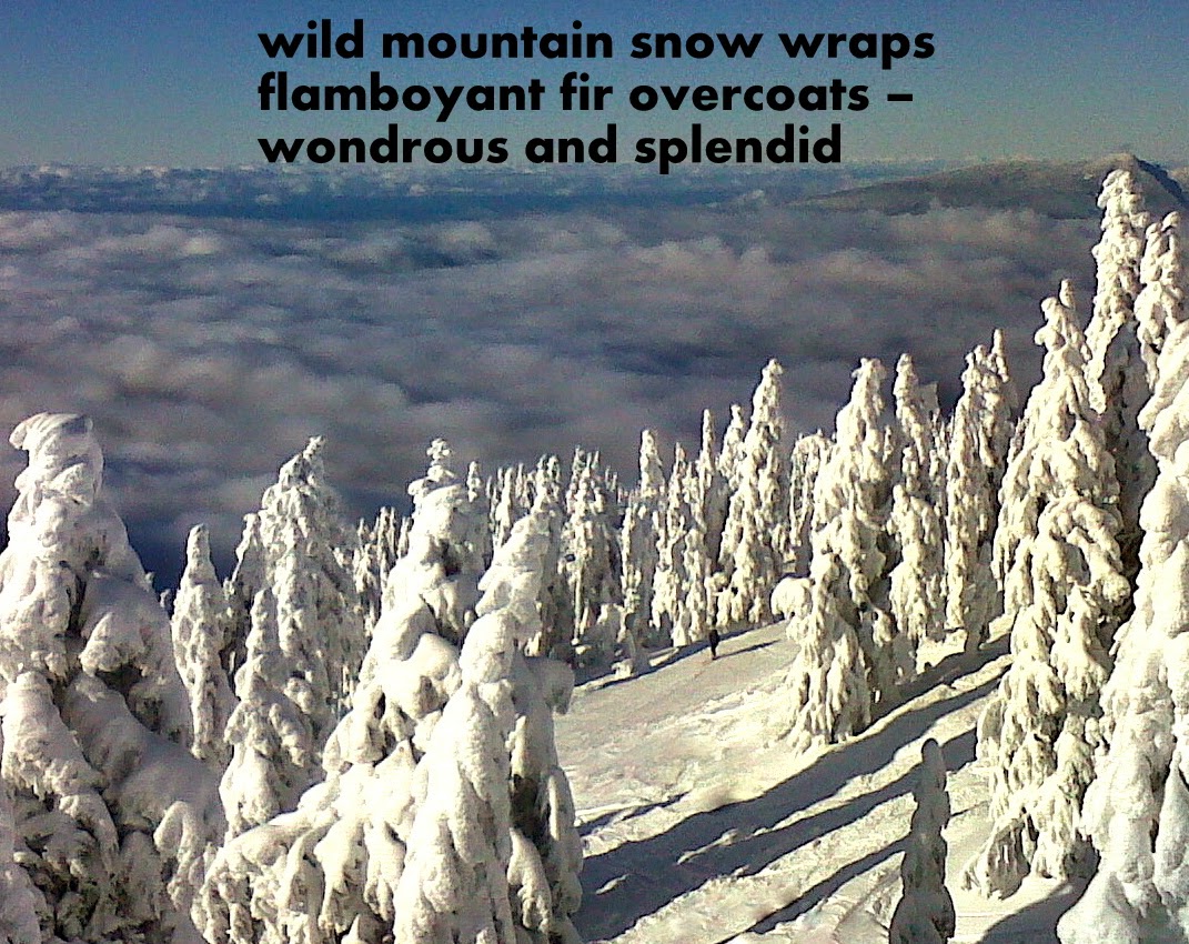 Words and Words and Whatnot . . .: snow haiku