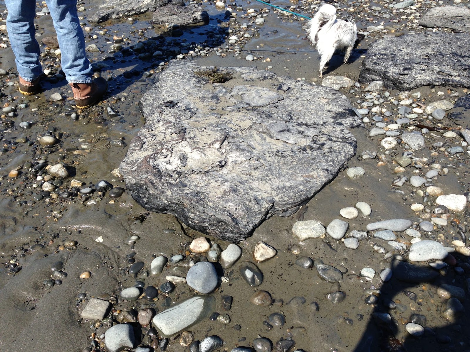 Two Many Adventures: Ninilchik, Alaska and Volcano Alley along the Cook ...