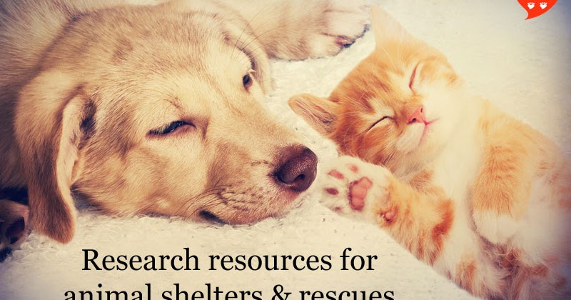 Research Resources for Animal Shelters and Rescues