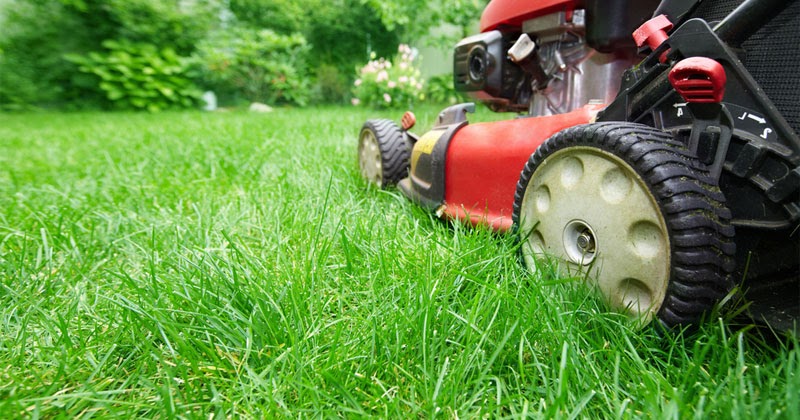 Gardeners Melbourne Most Visited Directory: Professional Garden ...