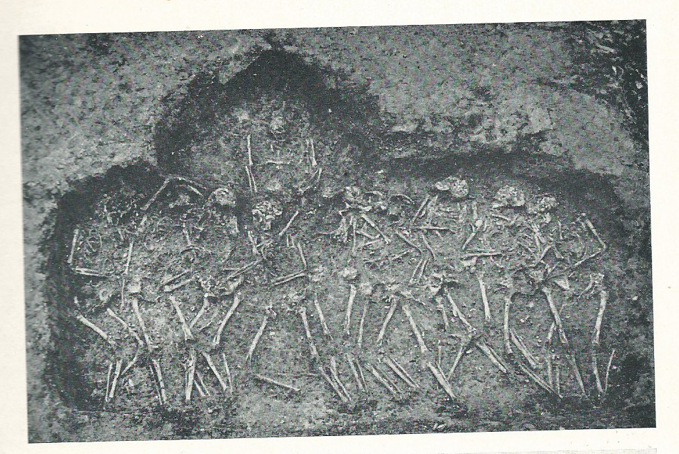 Thyra: The Vikings - The Ring Castles in Denmark