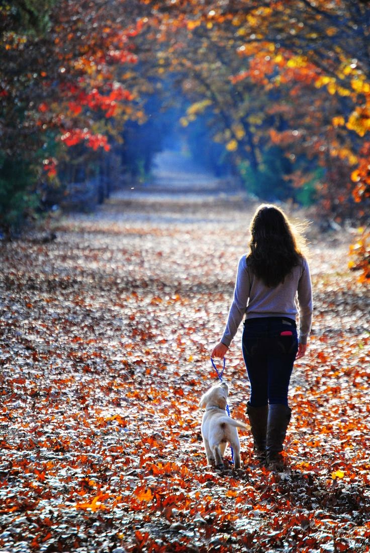 Fall Walk. | Express Photos