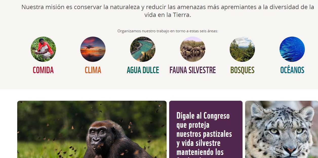 WWF Y SU IMPORTANTE LABOR